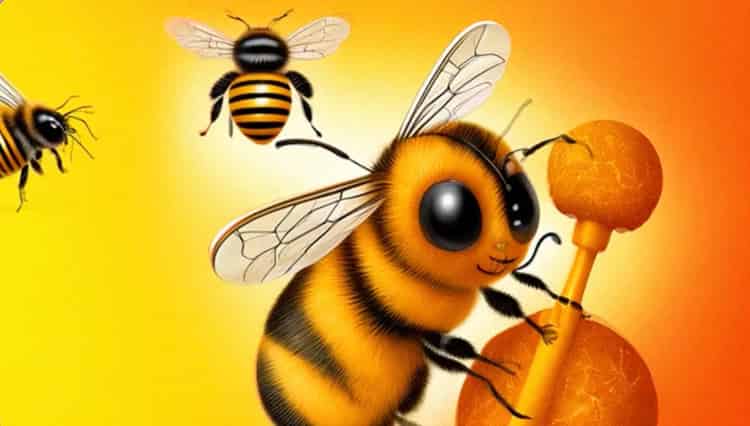 neural frames | AI animation generation